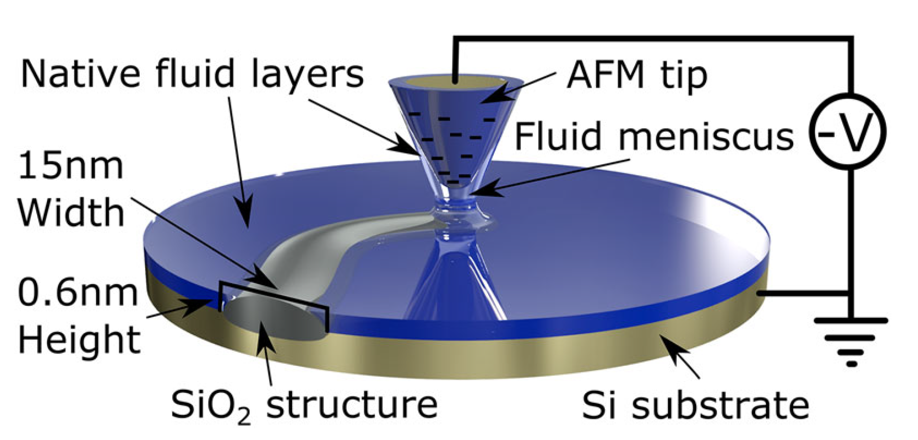 Research Highlights (#3) - Bristol Nano Dynamics Ltd